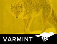 Berger Bullets - Extreme Long-Range Bullets | Target | Tactical | Hunting